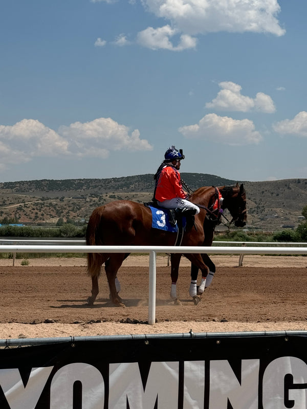 Mr Steve Berry (Mr Jess Perry x Valiant Jess) – Supreme Q Racing